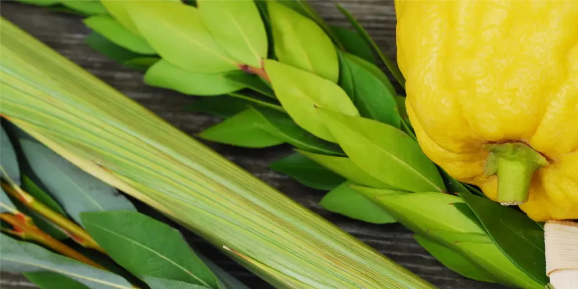 Sukkos: Step into the Clouds