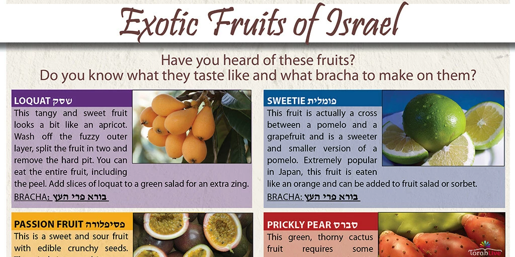 Brachos on Exotic Fruit - A Tu B'Shvat Poster - Torah Live