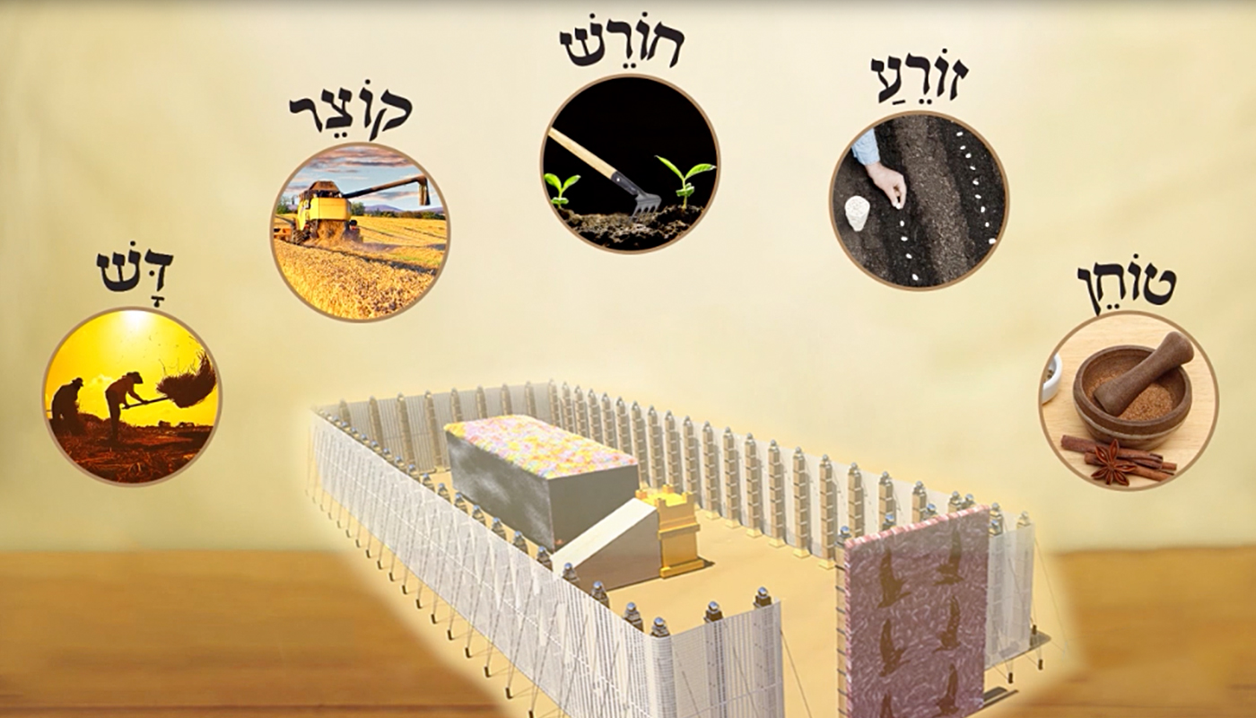 39 Melachos of Shabbos - Learn Hilchos Shabbos - Torah Live