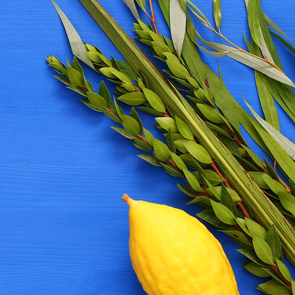 Brachos - Course on Bracha Rishona and Achrona - Torah Live